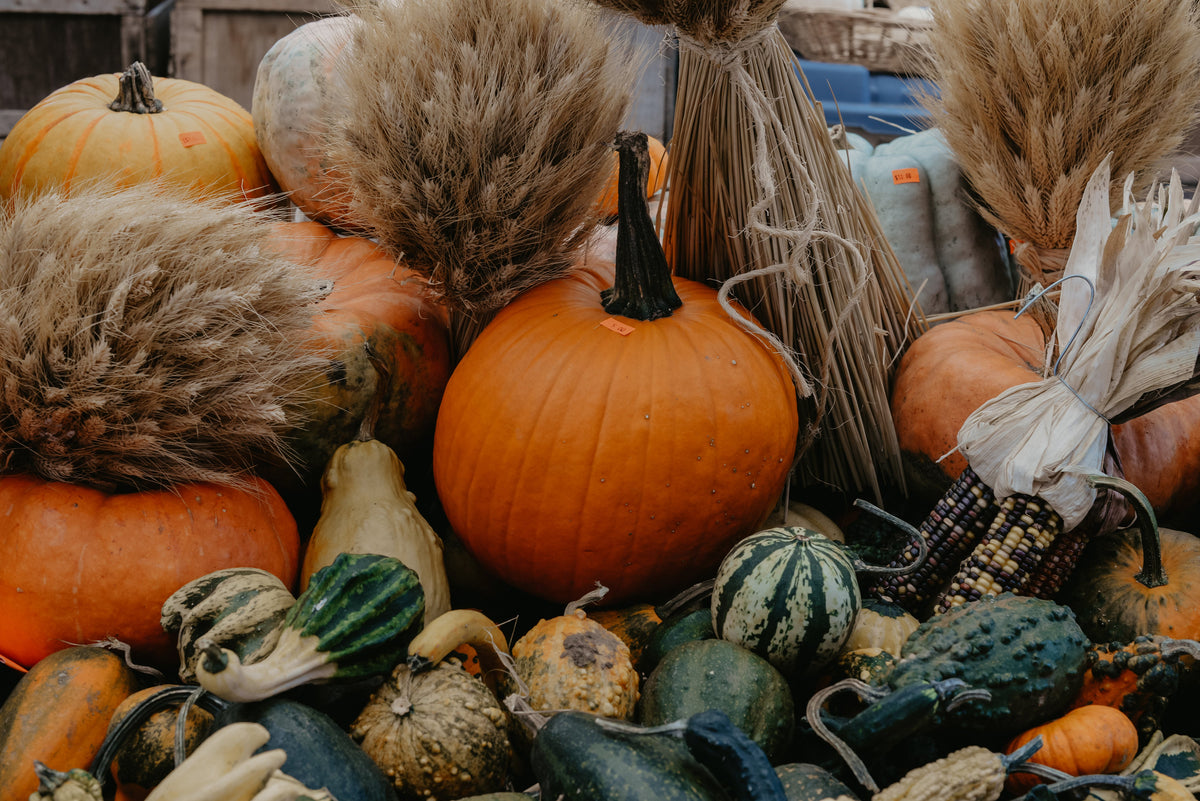 Embracing the Enchanting Aromas of Autumn – WHAX
